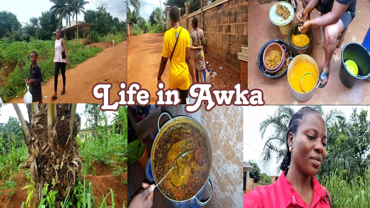 LIFE IN AWKA||MAKING LARGE POT OF STEW ||SEEING AKWU OJUKWU FOR THE ...