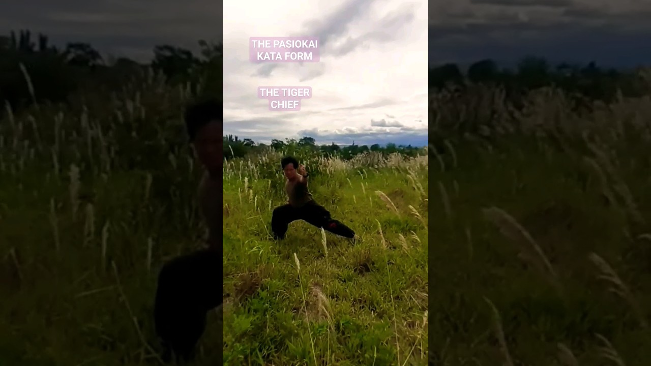 THE PASIOKAI KATA FORM BY: TIGER CHIEF - YouTube