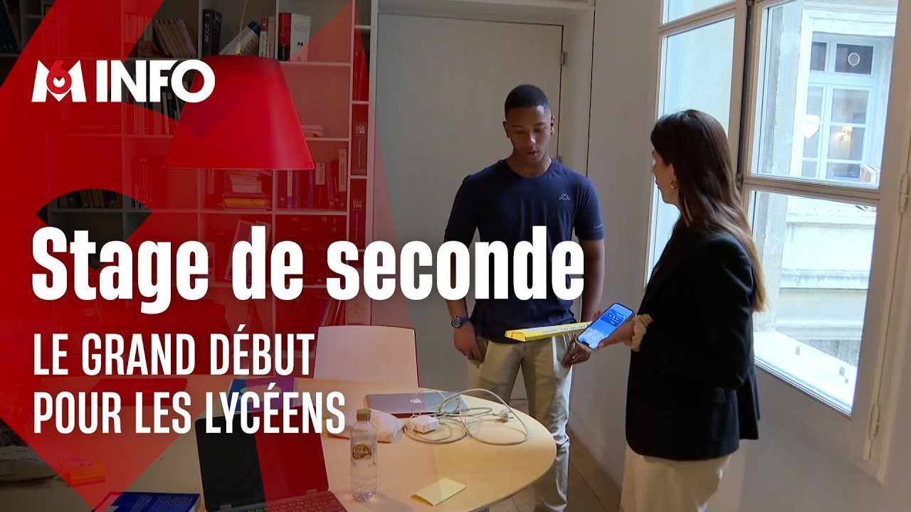 Stage en entreprise : la grande première pour les élèves de seconde ...
