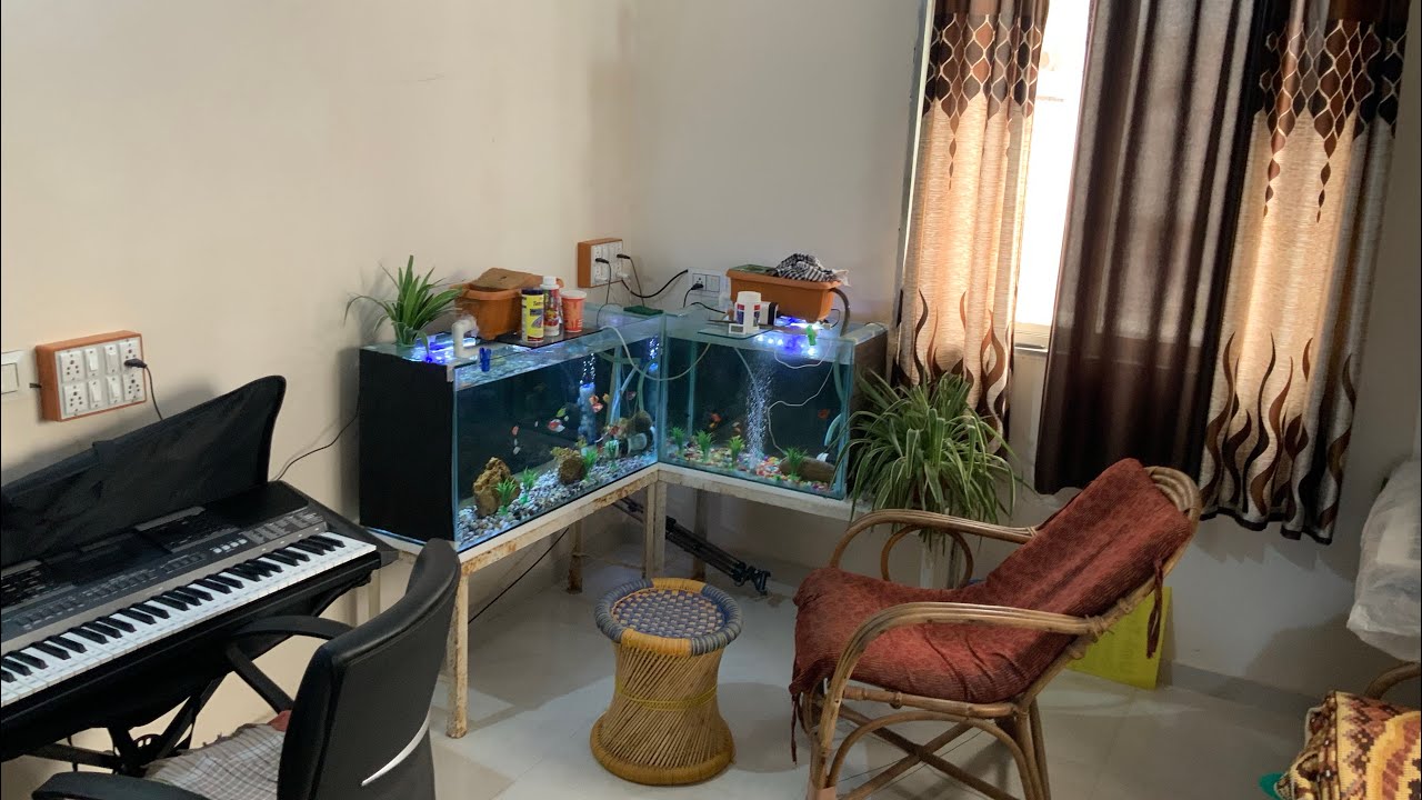 My beautiful small fish aquariums - YouTube