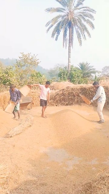 Dal jang horo new Santalishort video 📸 #2025 Binod Hansda ,Marang soren ...