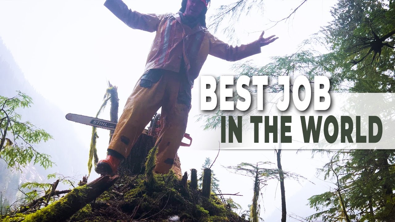 53. Best Job In The World | Timber Cutter - YouTube
