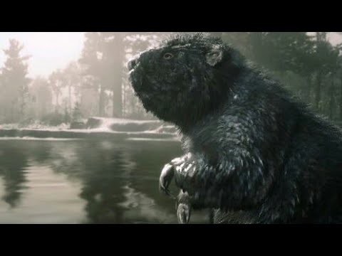 Red Dead Redemption 2 ONLINE - Castor Nocturno Legendario - YouTube