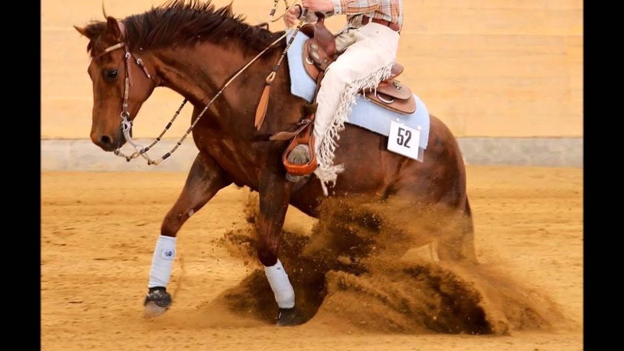 Faszination Westernreiten - YouTube