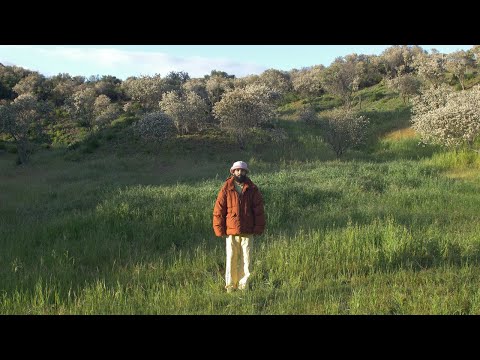 Nate Curry - Lost In You (Official Video)