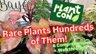 Plant Con Houston 2026 A Comprehensive Walkthrough of the Rarest Houseplants For a Plant Collector