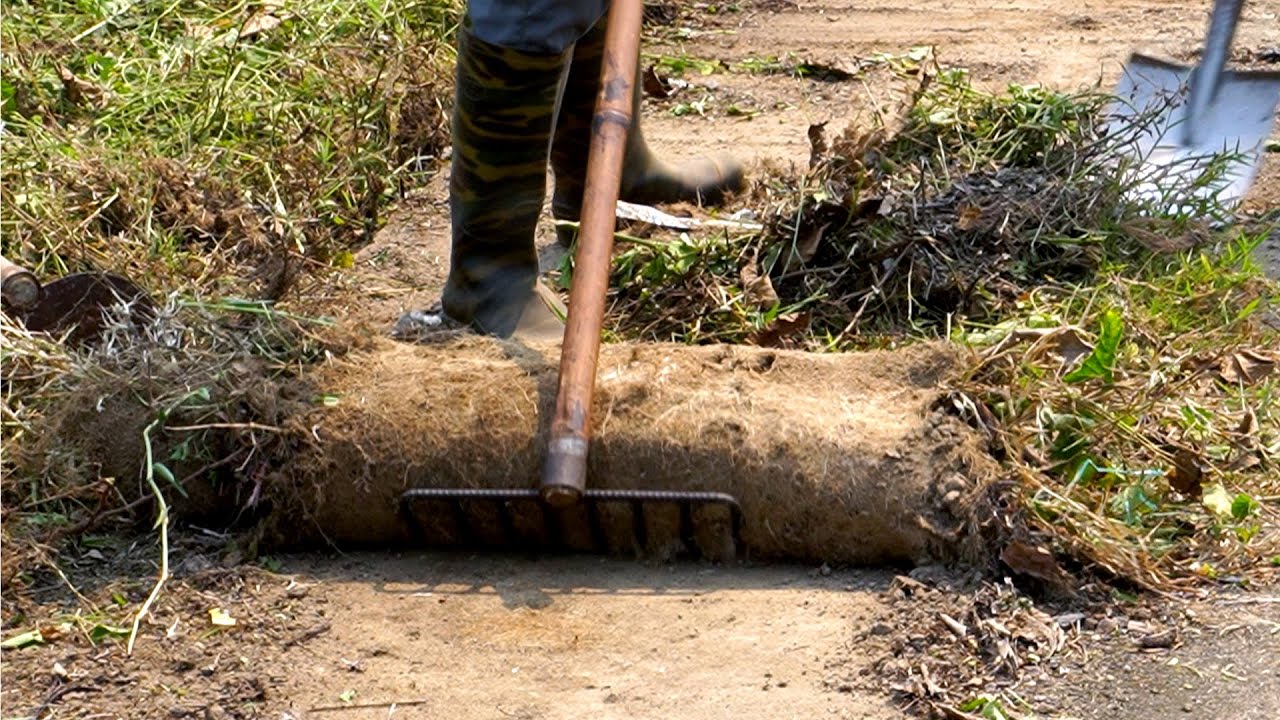 SHOCKING Overgrown Sidewalk TRANSFORMATION for FREE | Watch us Clean Up ...