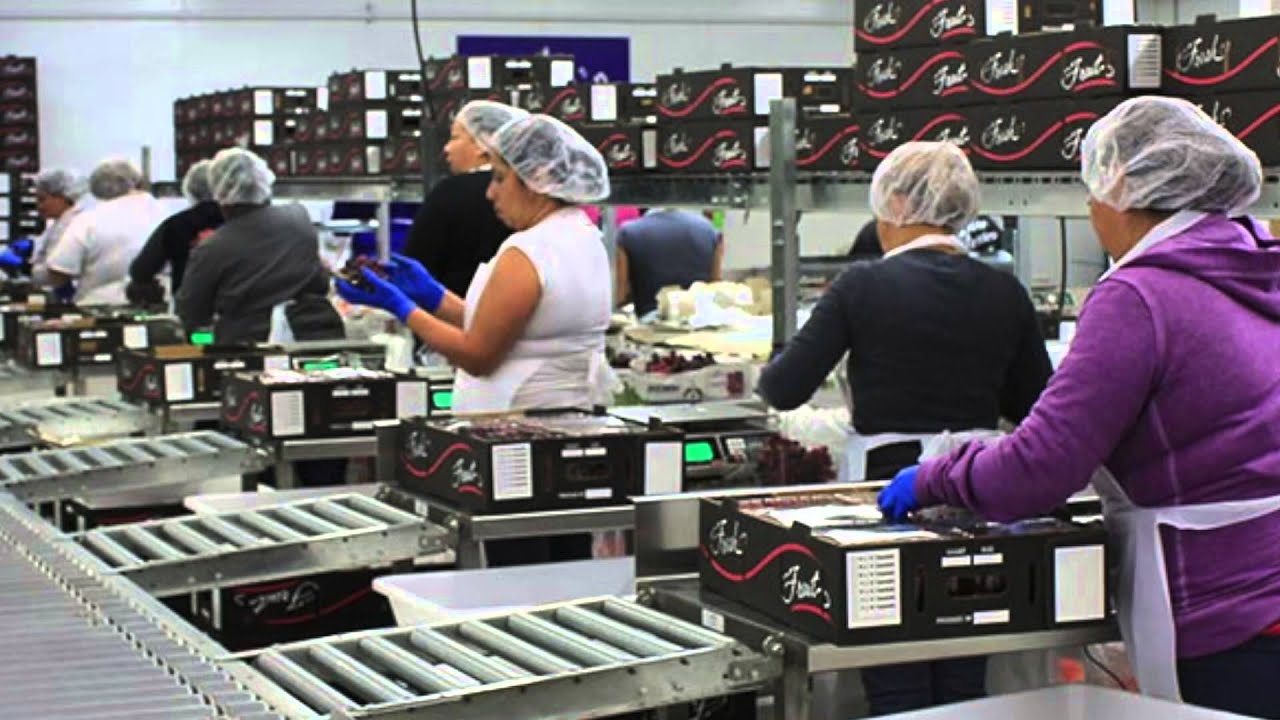 PACIFIC INTERNATIONAL COLD STORAGE proof 1 - YouTube