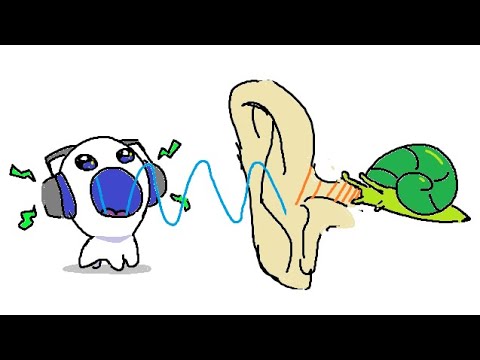 Obscure Silly Music for the Snail in Your Ear - YouTube