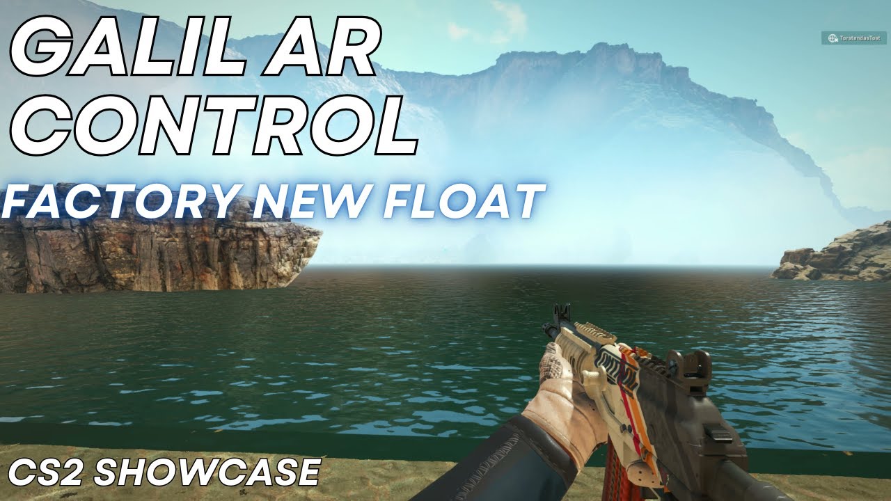 Galil-AR Control | CS2 Skin Showcase #1564 - YouTube