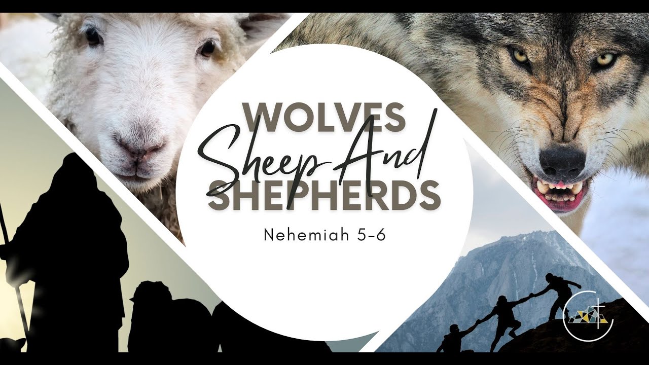 October 30 - Wolves, Sheep and Shepherds - YouTube