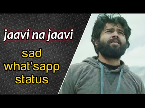 Jaavi na jaavi status video | new status video | sad status | Unique ...