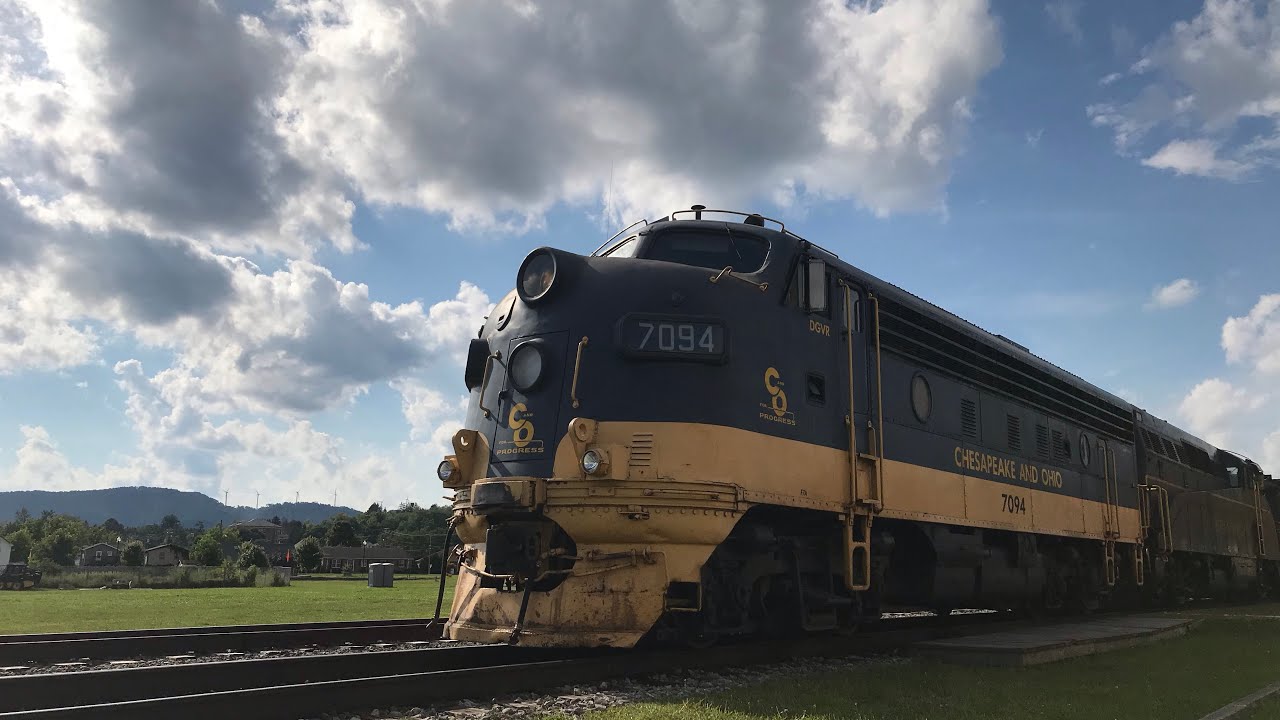 The Wild Heart of West Virginia Part Two: The Cheat Mountain Salamander ...