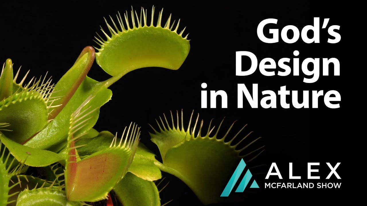 God's Design in Nature: AMS Webcast 508 - YouTube