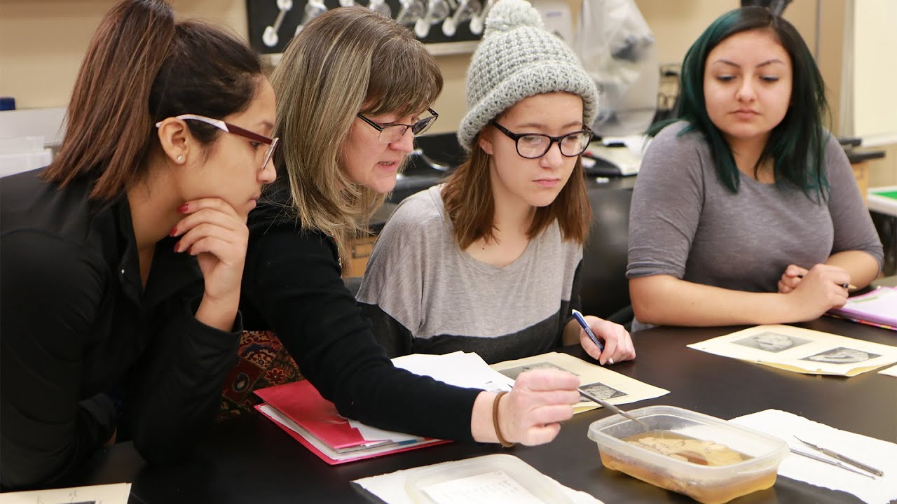 Guided Pathways at YVC | Social Sciences & Education - YouTube