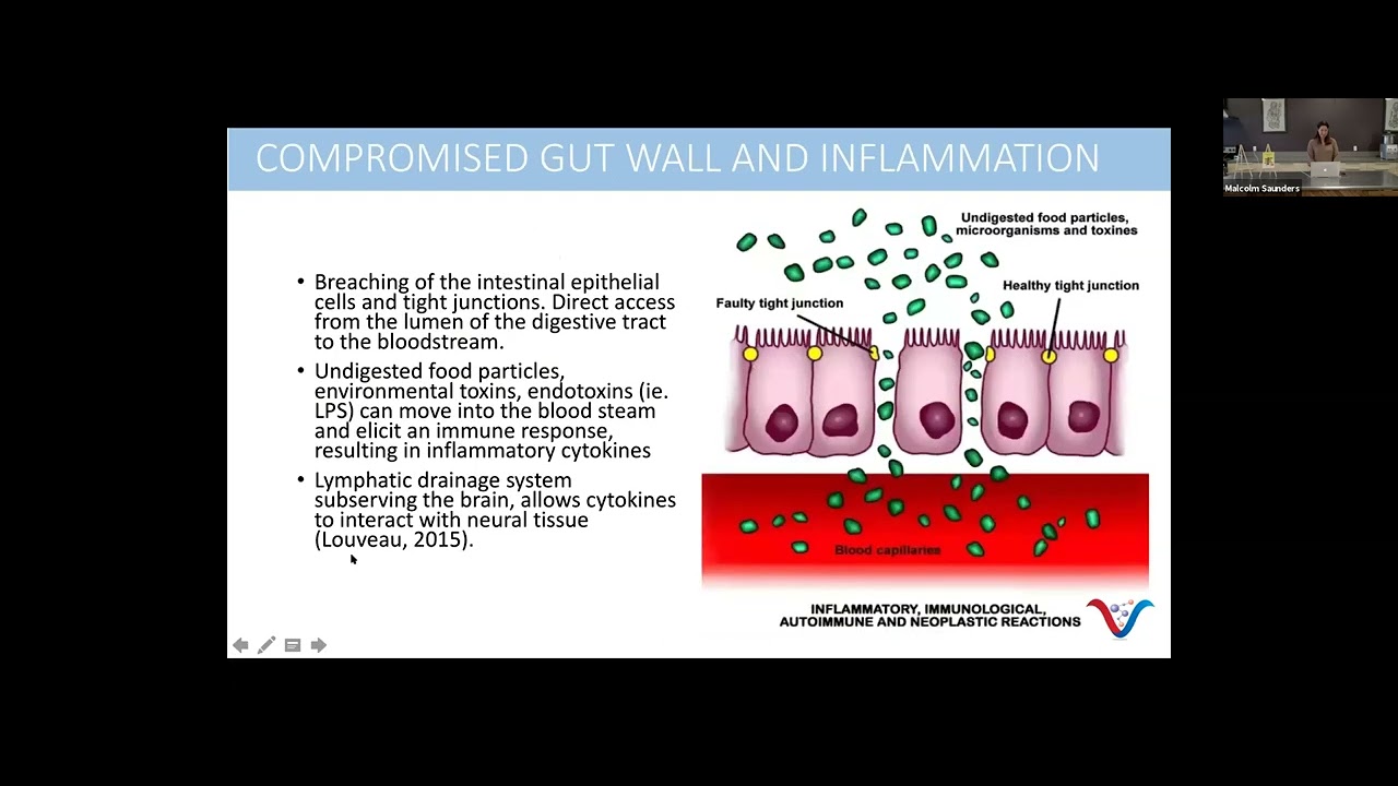 Psychobiotics: The Microbiome, Brain Health and Mental Health w/ Dr ...