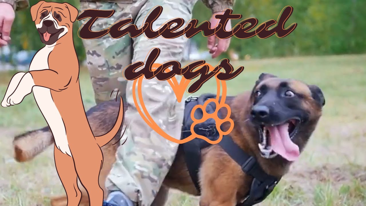 Incredible Talents Unleashed: Amazing Tricks and Astonishing Feats by ...