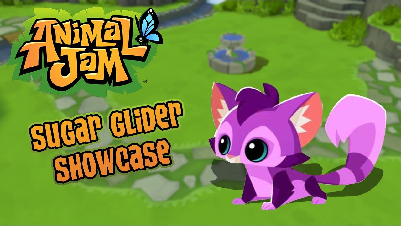 Animal Jam - Animal Showcase: Sugar Glider - YouTube