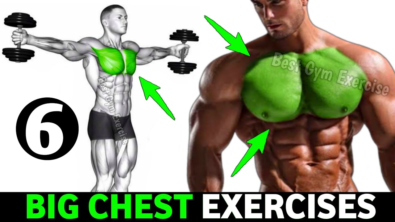 6 Effective Chest Workout Exercises For Big Pec - YouTube