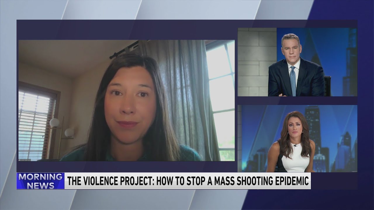 The Violence Project: How to Stop a Mass Shooting Epidemic - YouTube