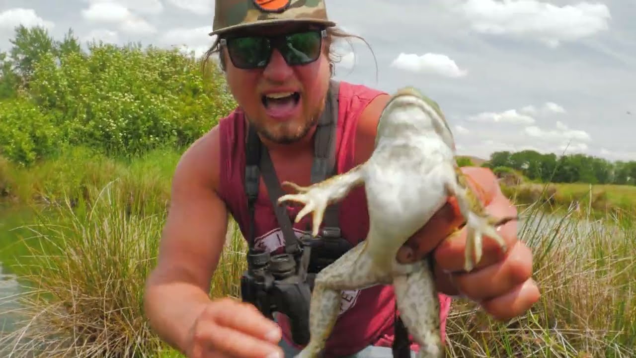 Fishing For Bull Frogs. (Forage, Catch, & Cook) - YouTube