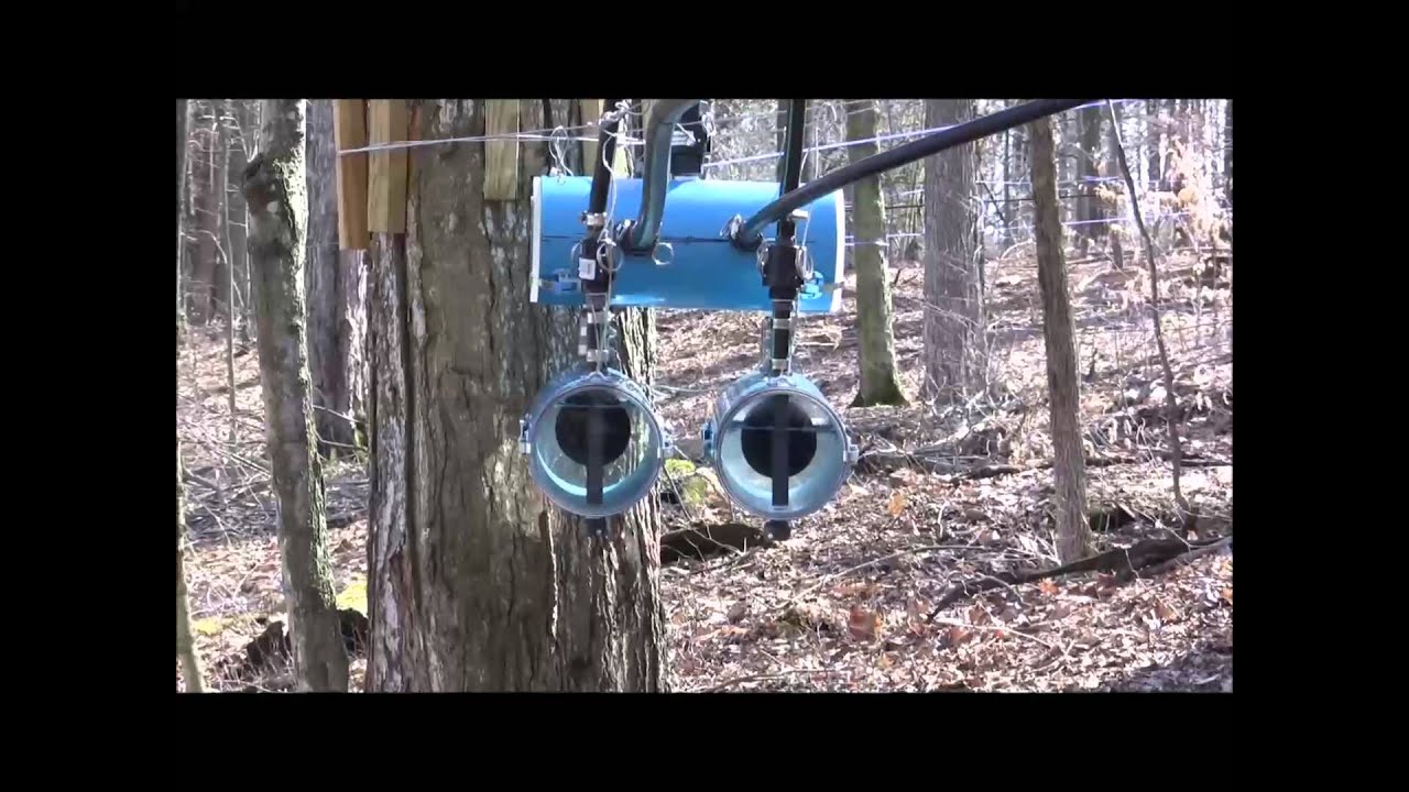 maple syrup sap lifter - YouTube