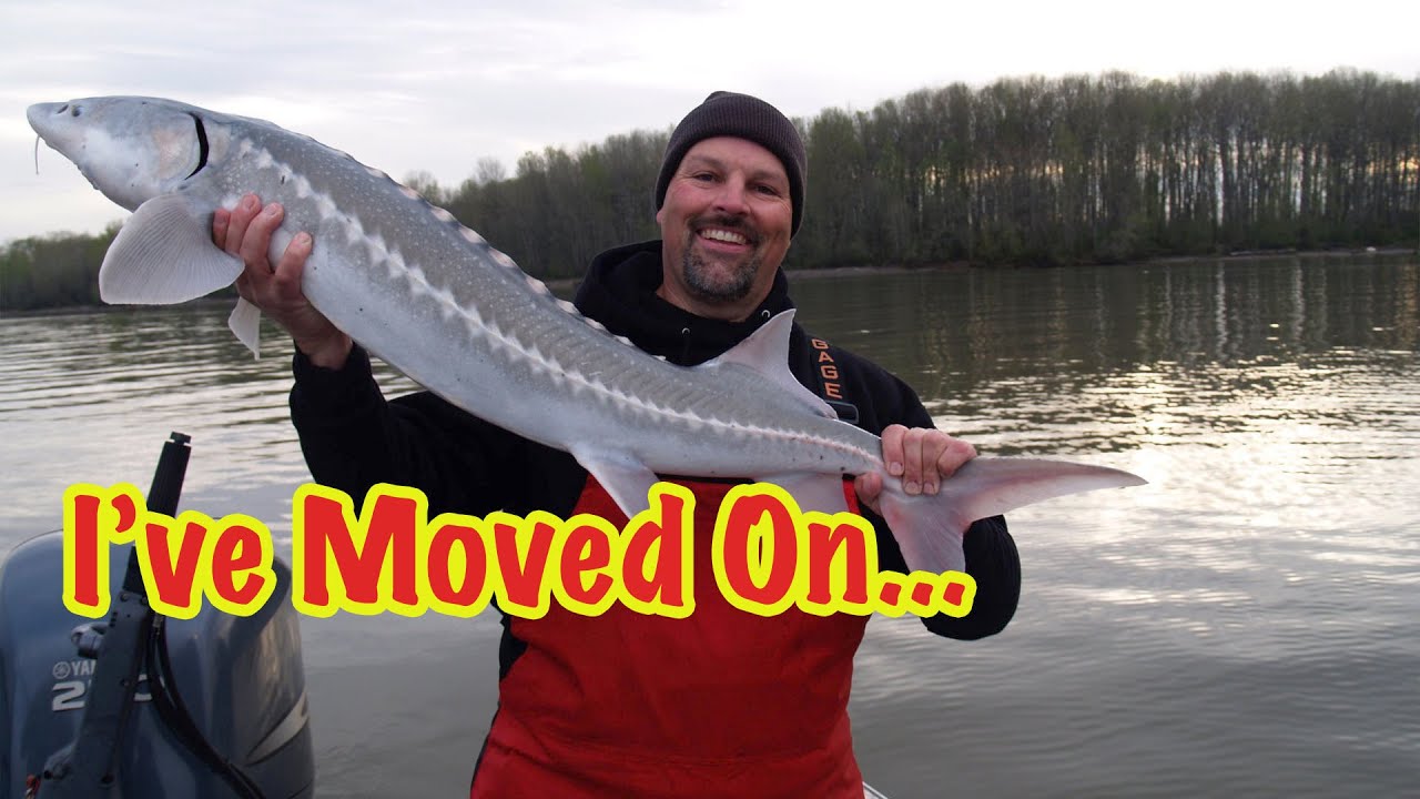 What Happened To The Fish Sniffer? - YouTube