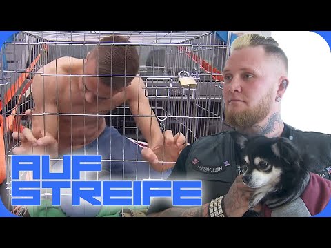 Tierisches Chaos: Mann im Käfig hält sich für eine Katze! | Auf Streife | SAT.1