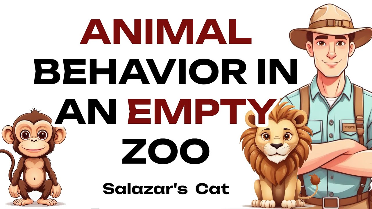 ANIMALS IN AN EMPTY ZOO, how do they behave without visitors? - YouTube