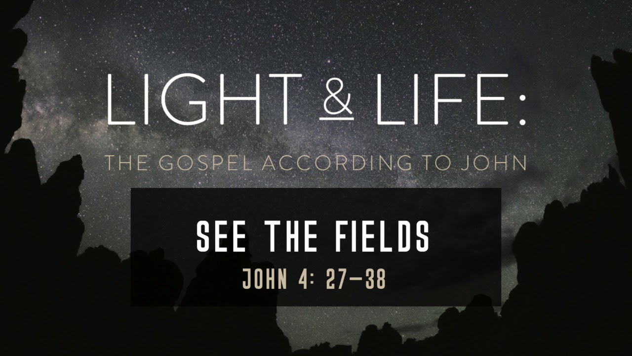 See the Fields | John 4:27-38 - YouTube