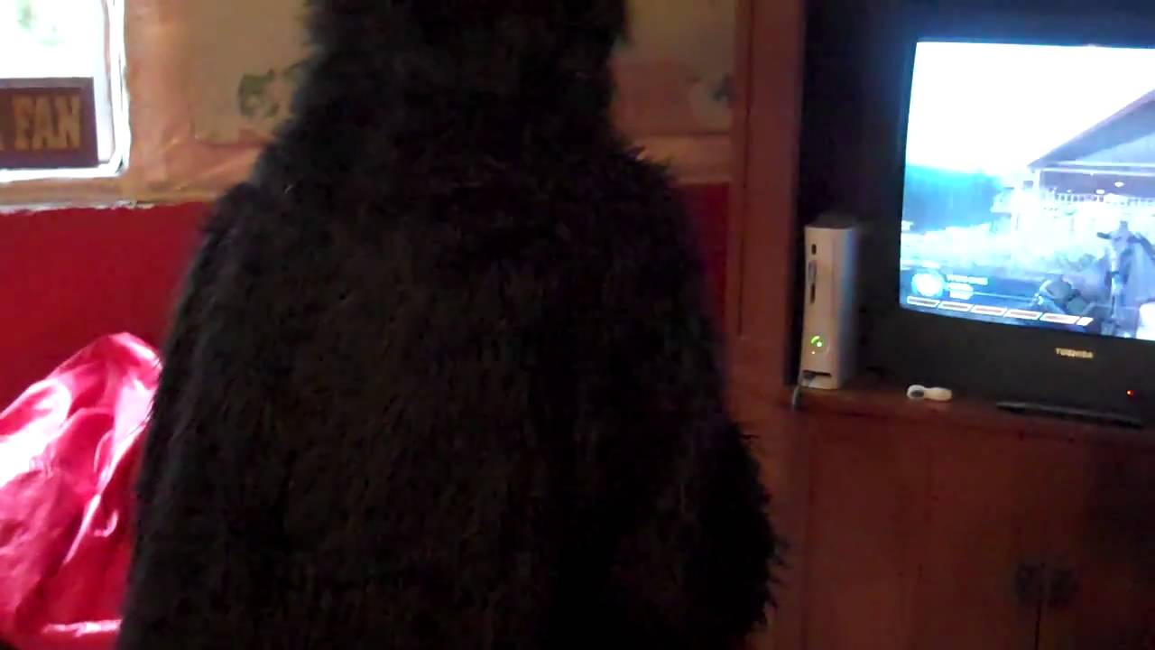 There's A Gorilla in my House! Episode 1 - YouTube