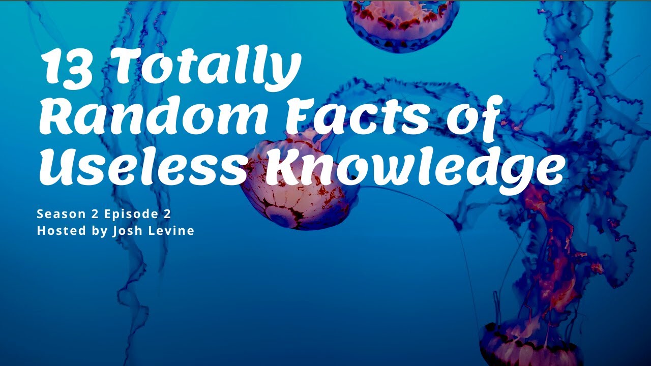 13 Totally Random Facts of Useless Knowledge - Trivia S2 Ep2 - YouTube