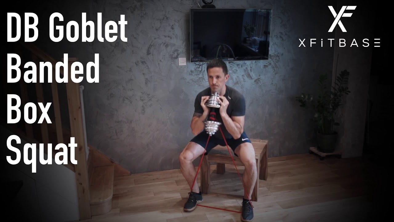 DB Goblet Banded Box Squat | Xfitbase - YouTube