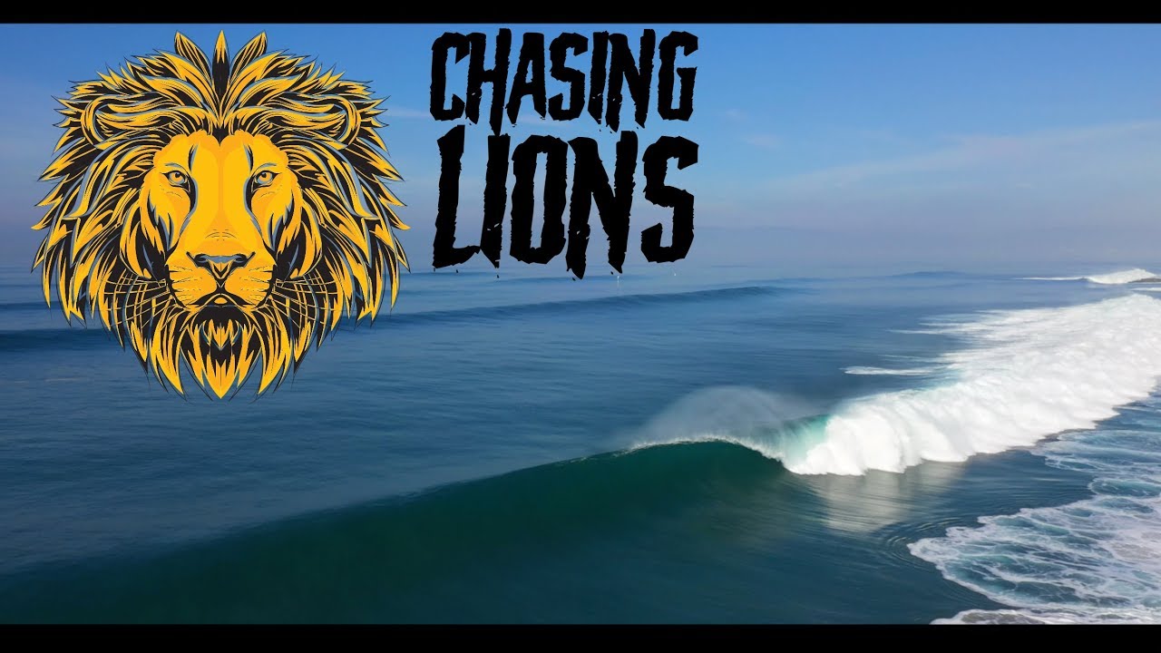 Chasing Lions, a recap of the 2018-2019 Surf Season in Los Angeles ...