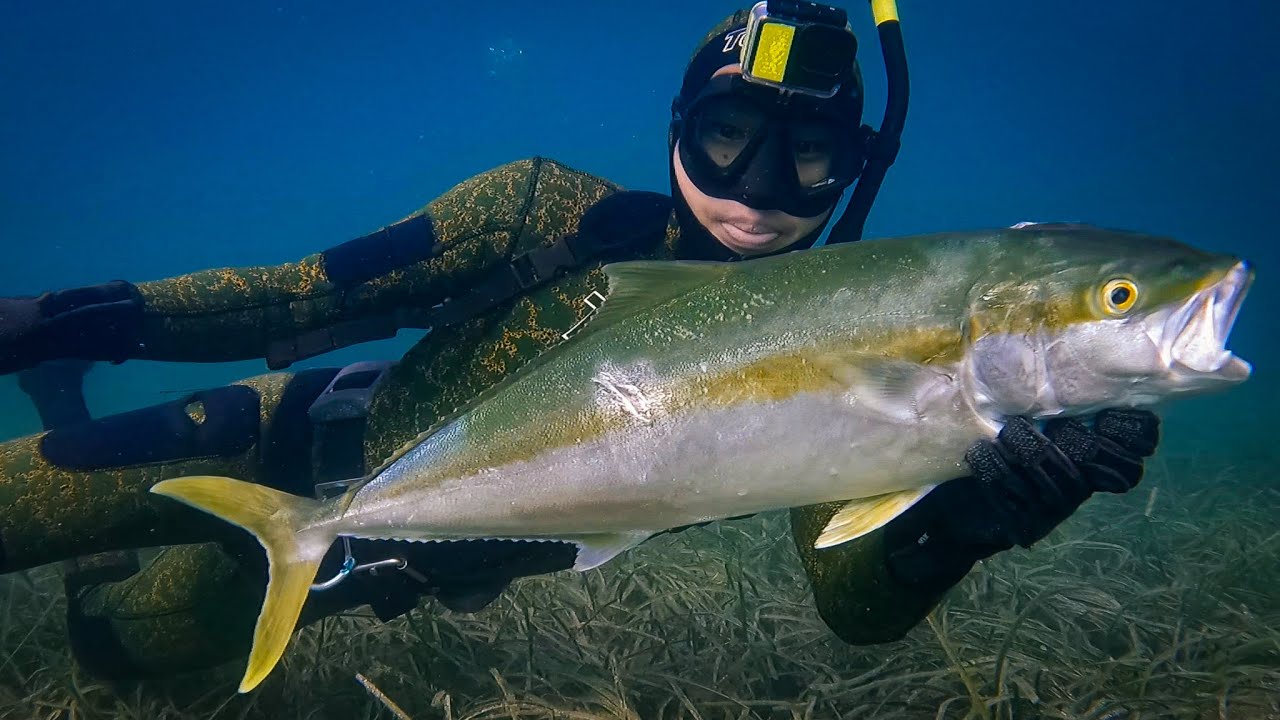 How I Speared My First KINGFISH! - YouTube