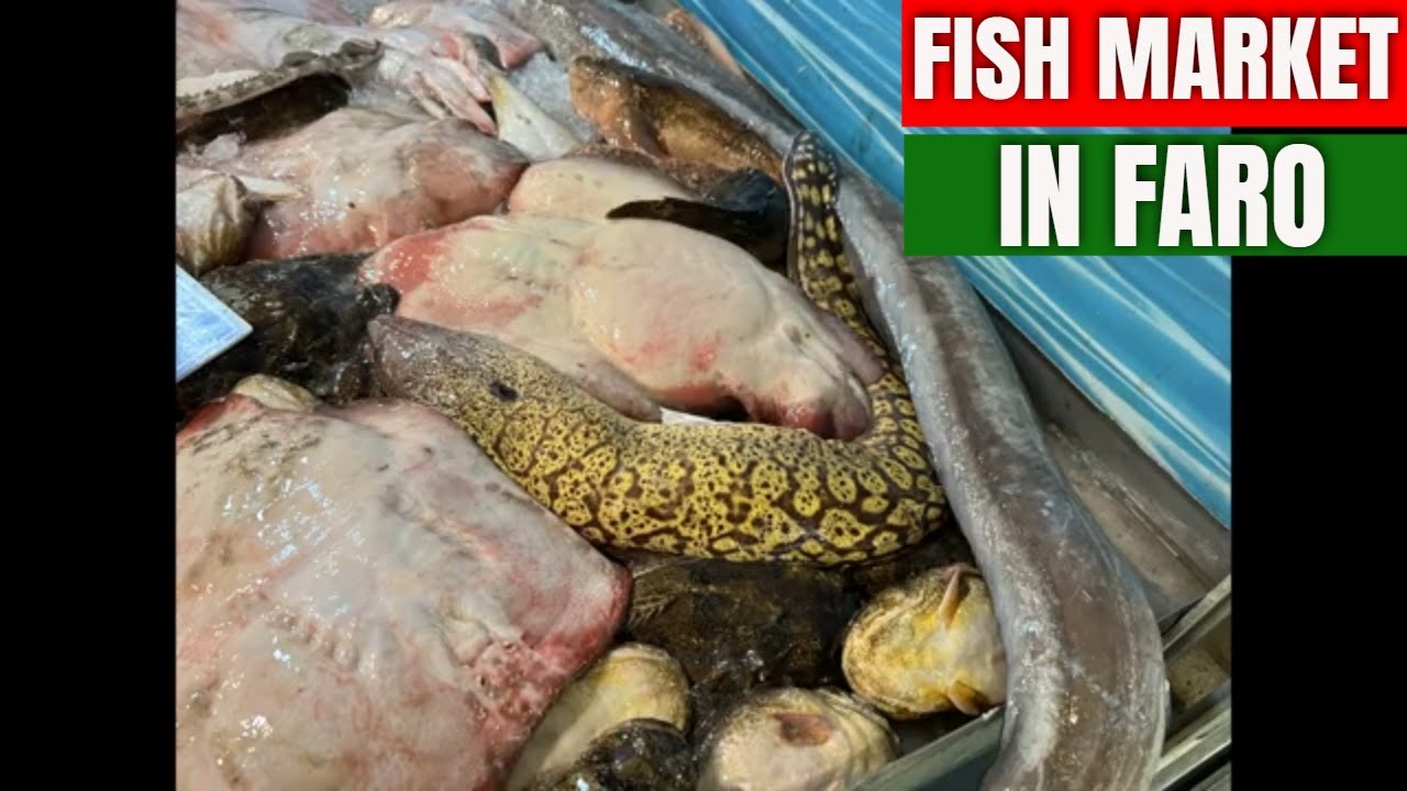 The Fish Market In Faro - YouTube