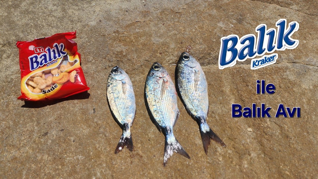 BALIK KRAKER ile BALIK AVI - YouTube