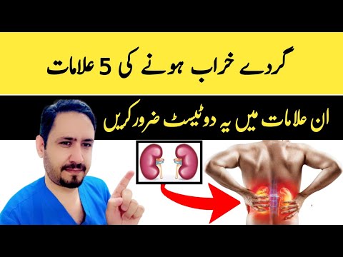 5 Strange Signs Your Kidneys Are Crying for Help In Urdu Hindi - Dr Irfan Azeem