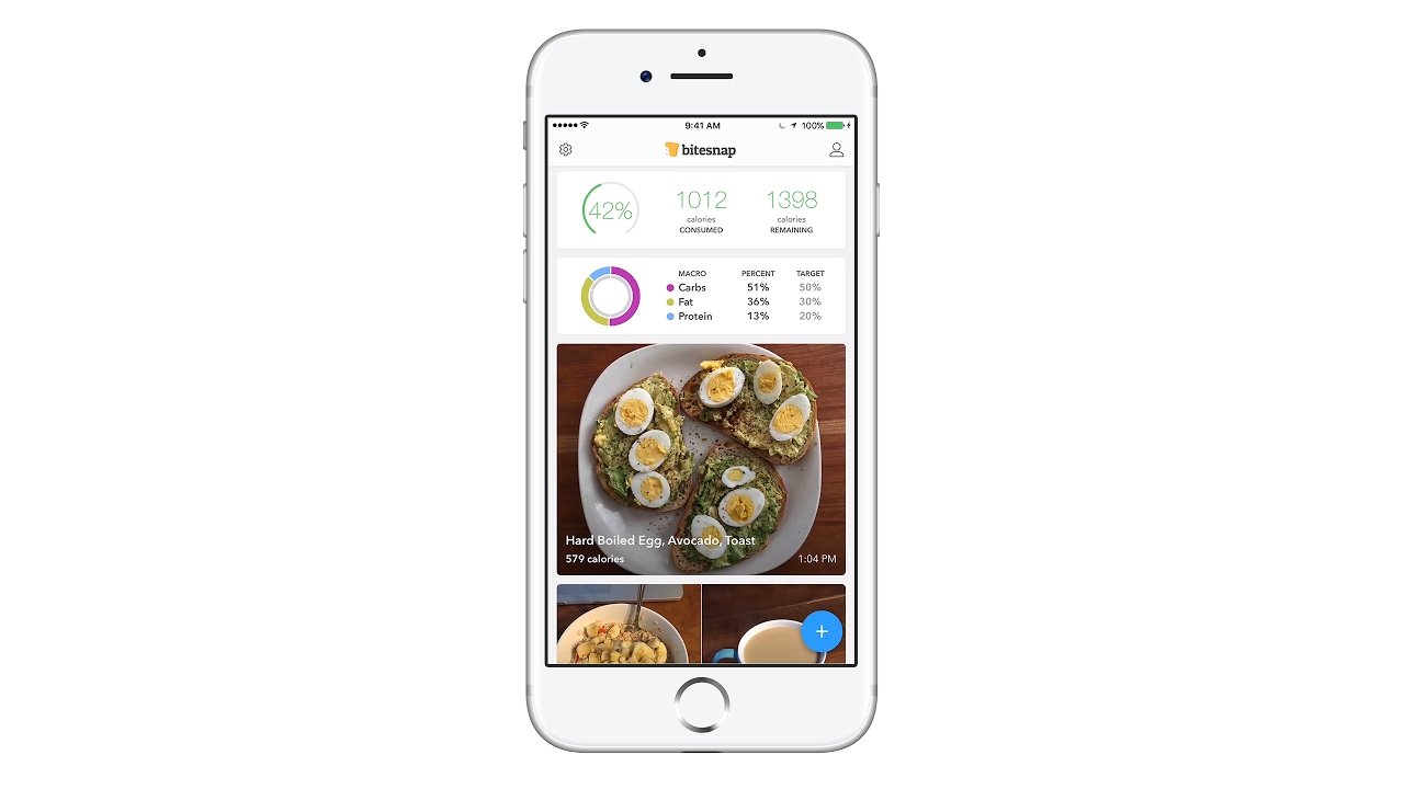 Bitesnap App - Logging Caprese Salad - YouTube