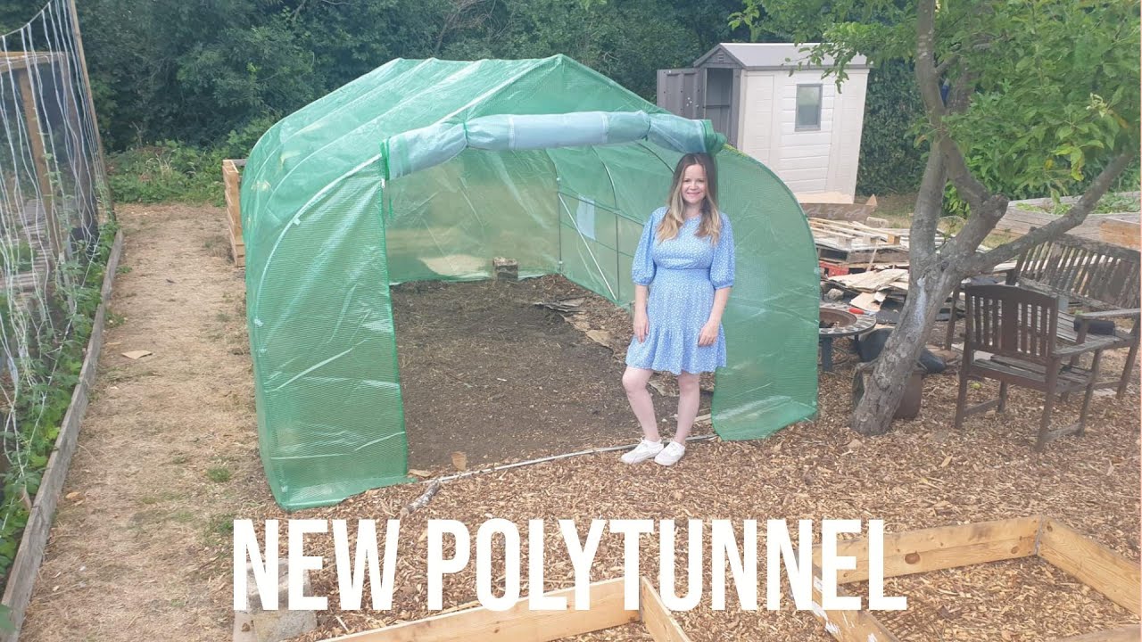Putting Up A Polytunnel | Allotment Transformation | Day 8 On My First ...