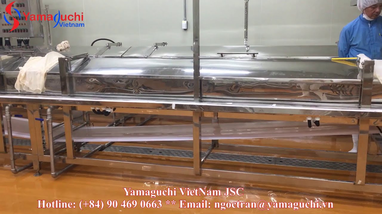 Rice Pho noodle making machine 80 kg/h - YouTube