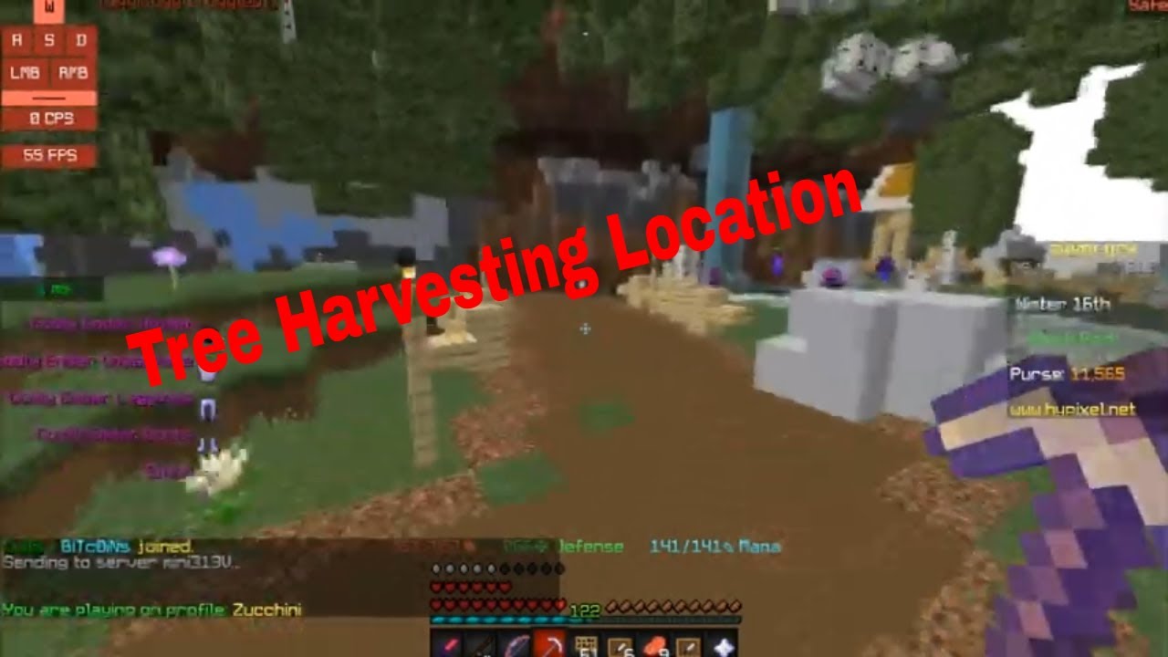 Minecraft | Where is Tree harvesting Area | Hypixel - YouTube