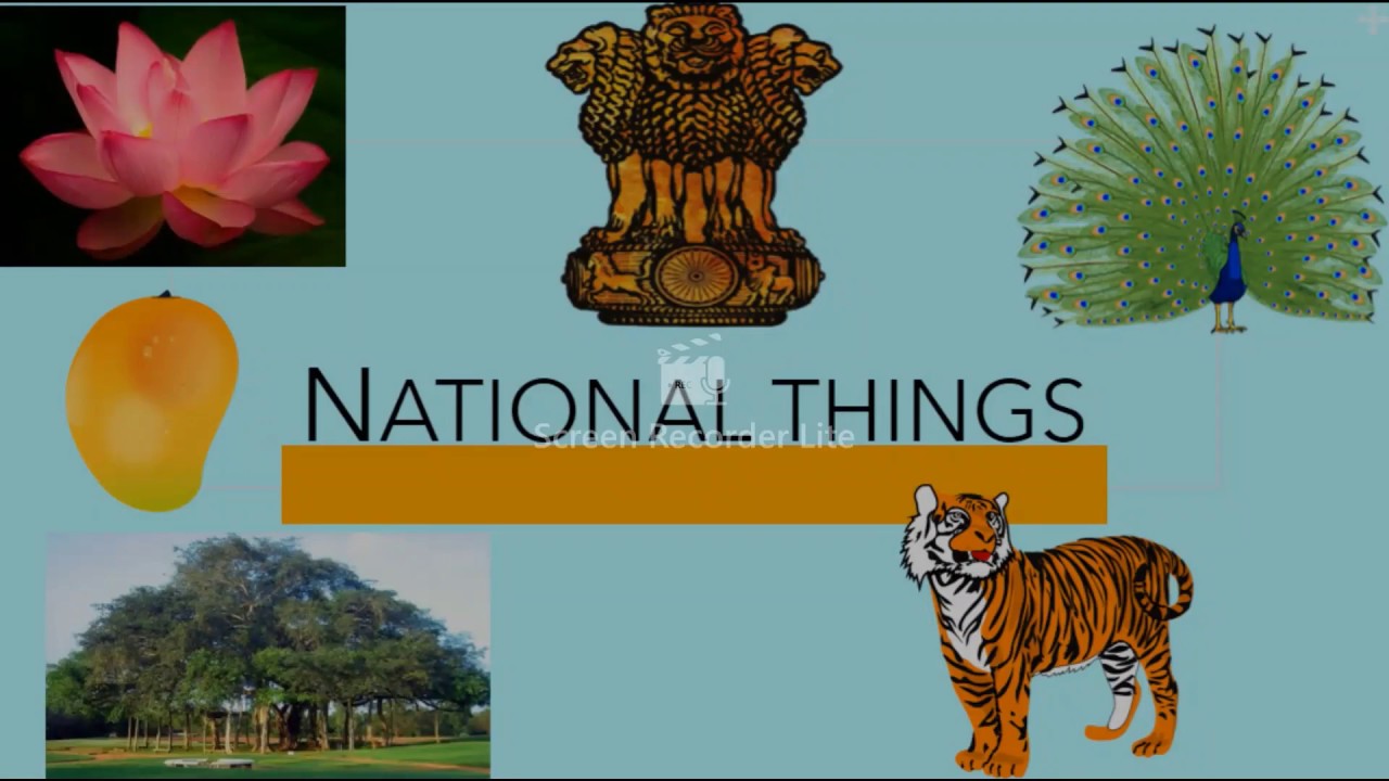 ALL NATIONAL THINGS - YouTube