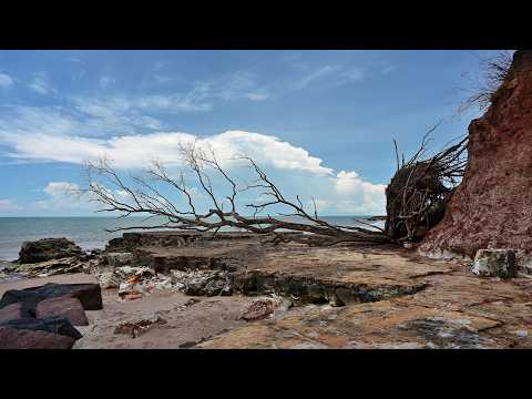 Project 71 The falling angels of Nightcliff Beach
