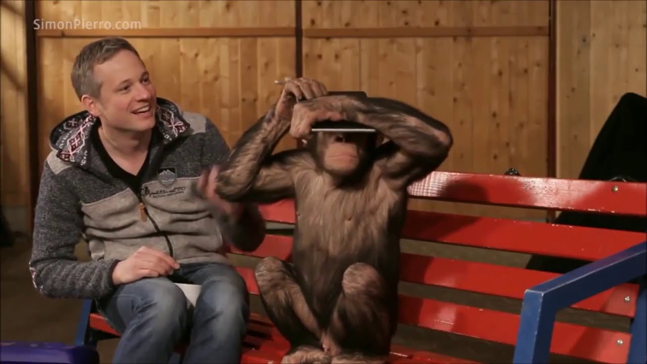 Monkeys React to Magic 😂😂 Part - 1 - YouTube