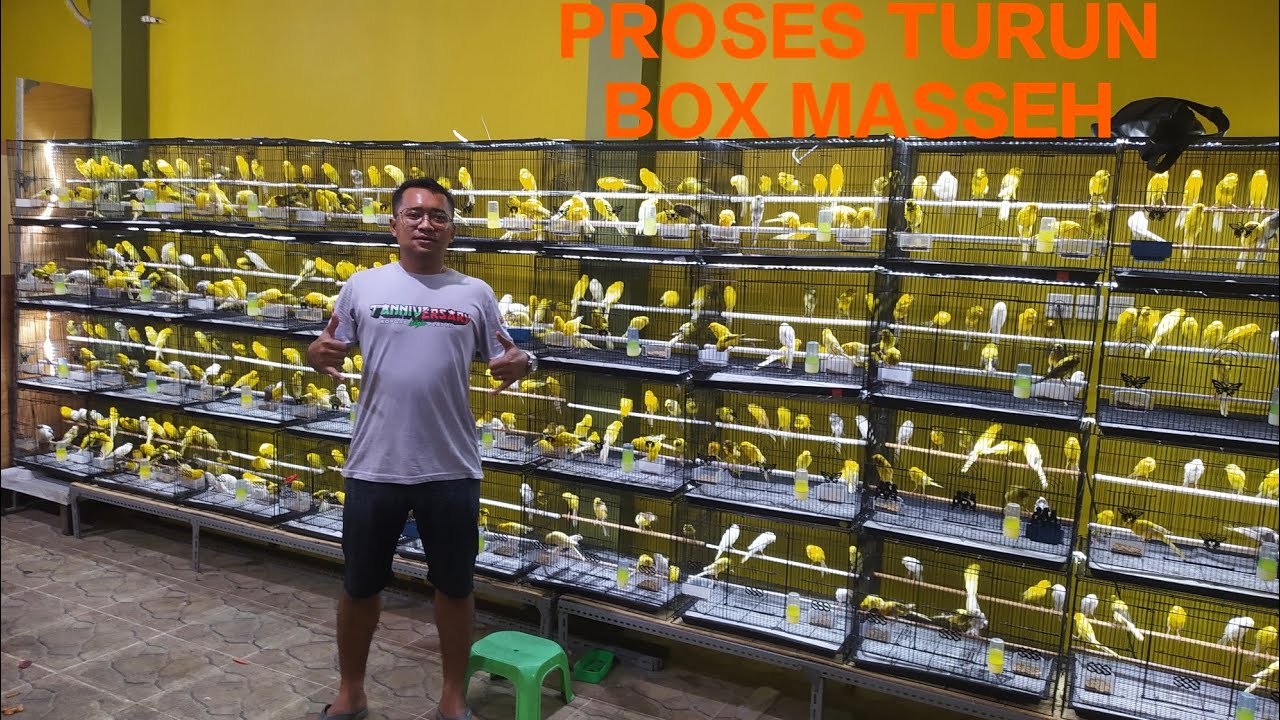 PROSES TURUN BOX MASSEH YORKSHIRE MALTA DAN RASMI IRAN - YouTube