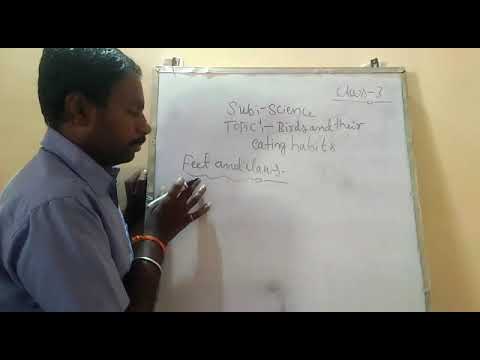 grade 3 science - YouTube