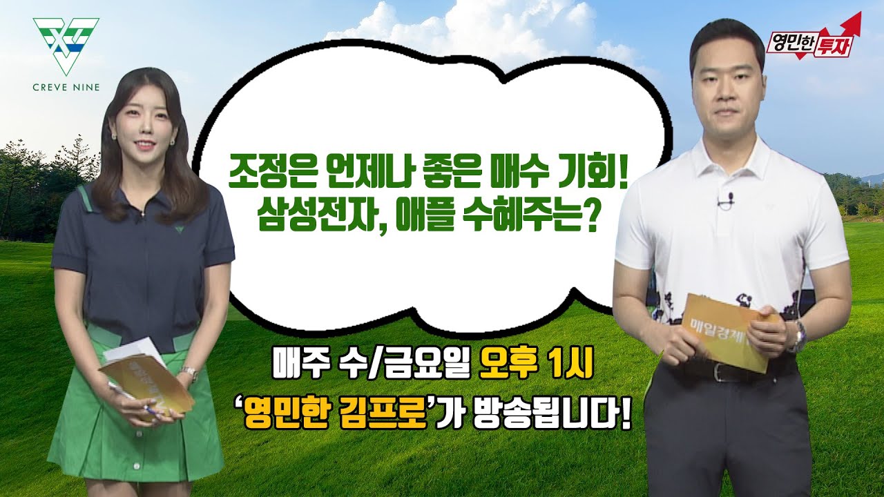영민한투자 김프로 삼성전자 애플 현대차 유일에너테크 비에이치아이 효성중공업 덕산테코피아 자화전자 생쇼 영민한