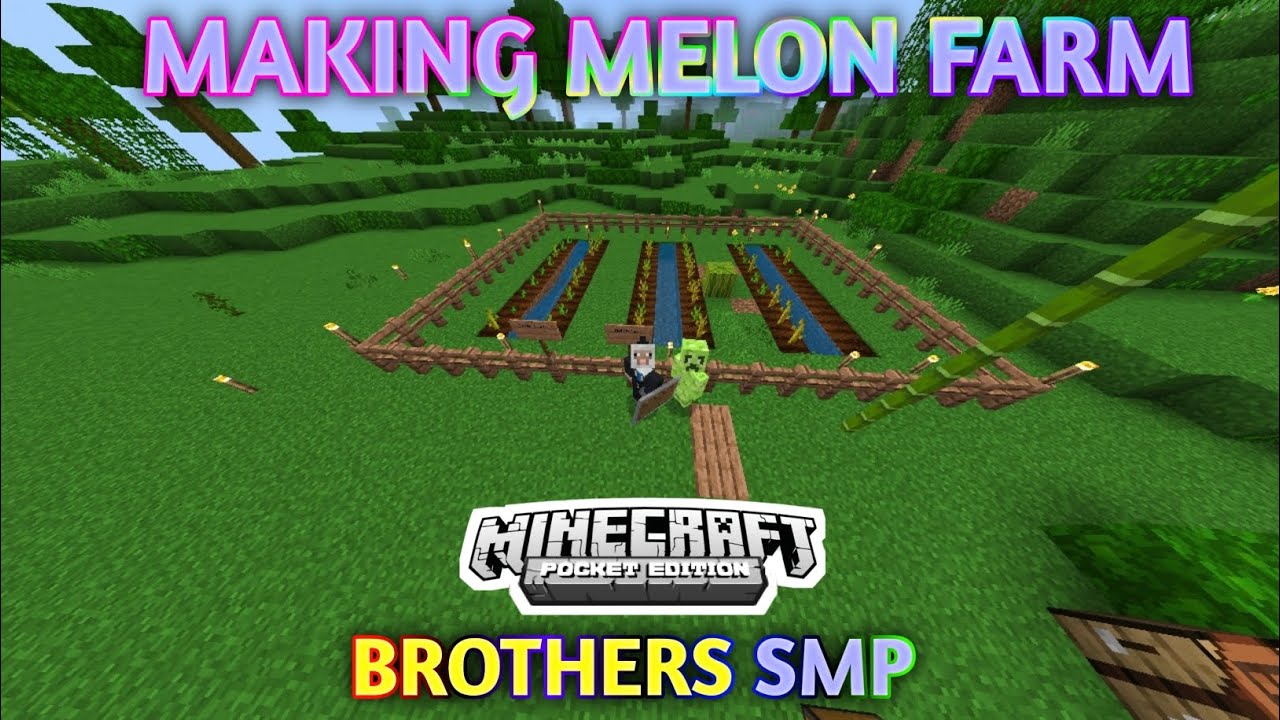 Making MELON FARM In Minecraft (Brothers Smp) - YouTube