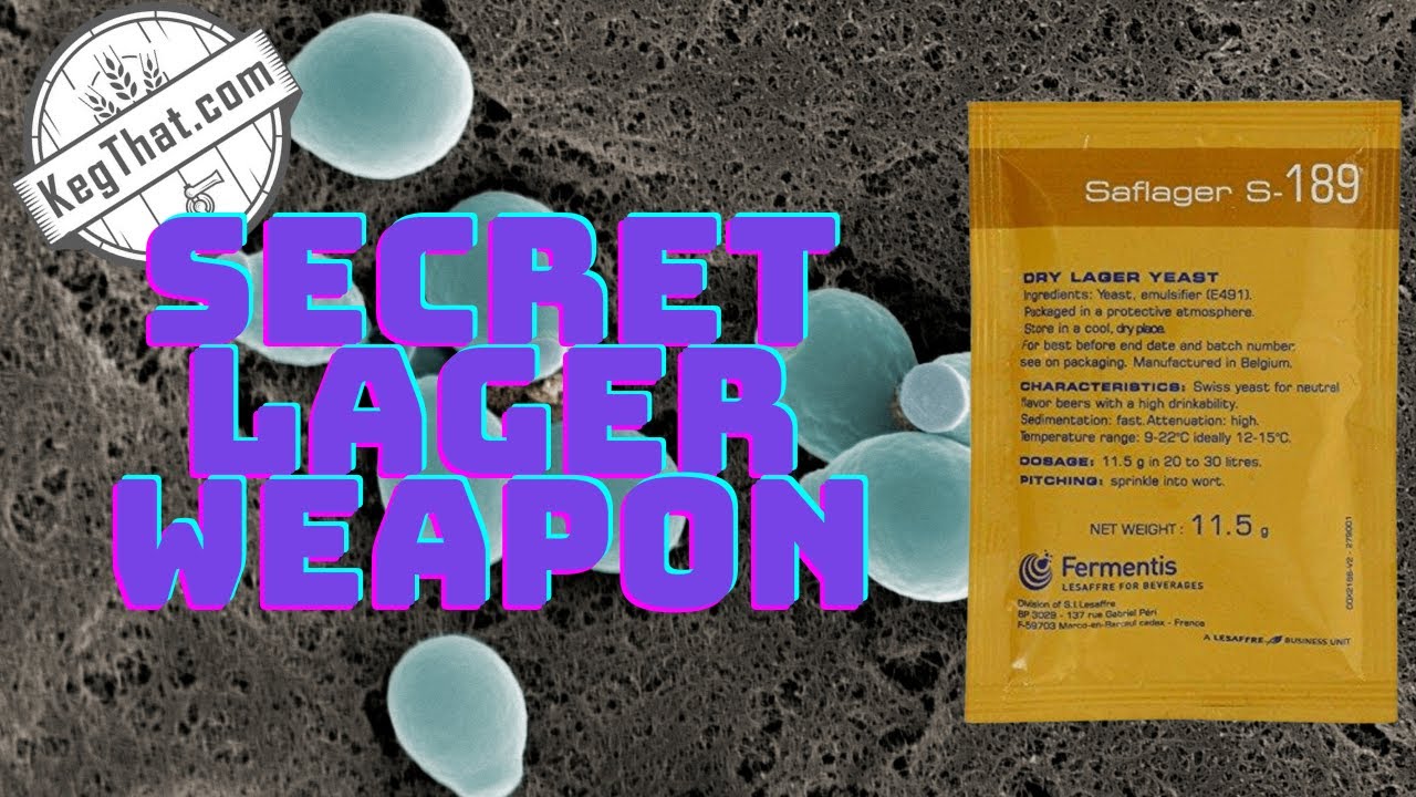 Fermentis S189 Lager Yeast Deep Dive for Homebrewers - YouTube